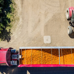 Hydraulic Bin Tippers – Safe Produce Handling | AIM Sales Australia