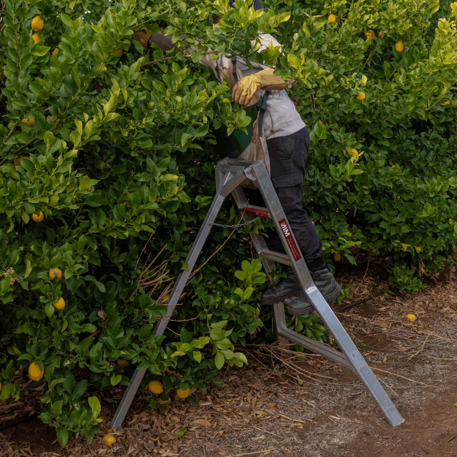 AIM Sales | Australia Agricultural & Materials Handling