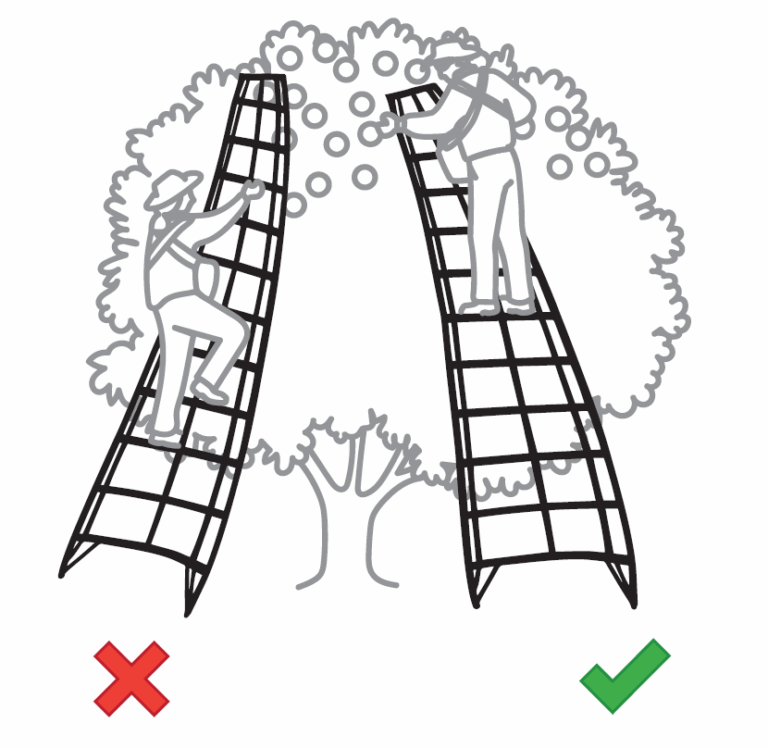 Picking Ladder Safety – The Do’s and Don’ts - AIM Sales